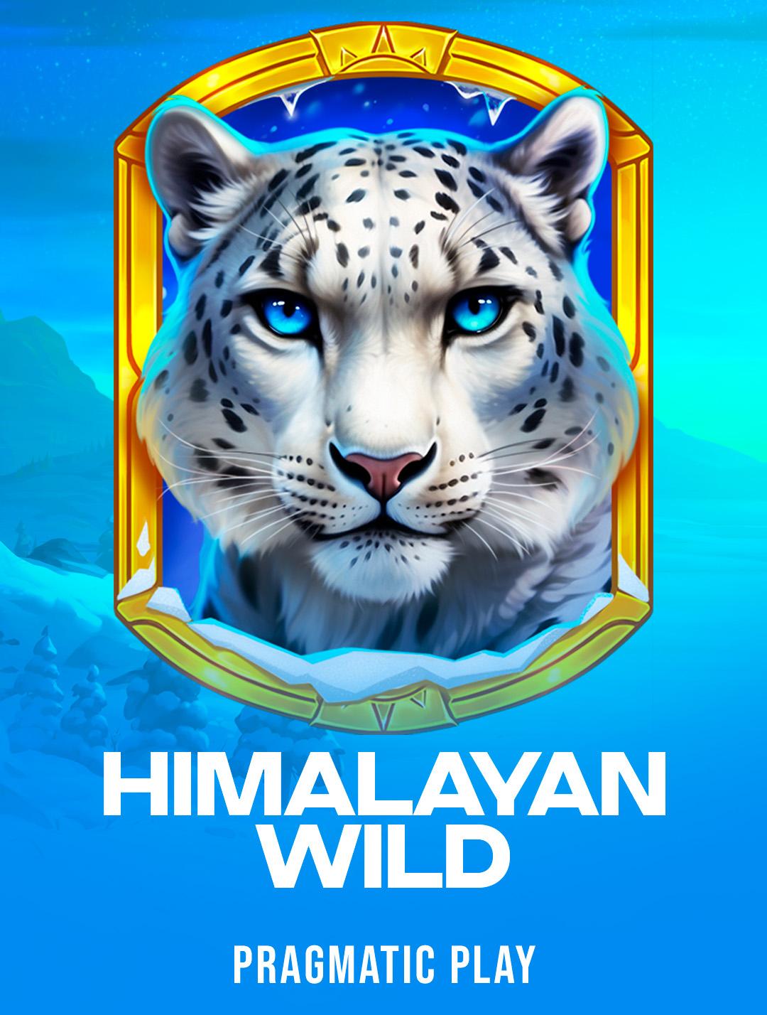 Play Himalayan Wild Slot by Pragmatic Play - Rainbet